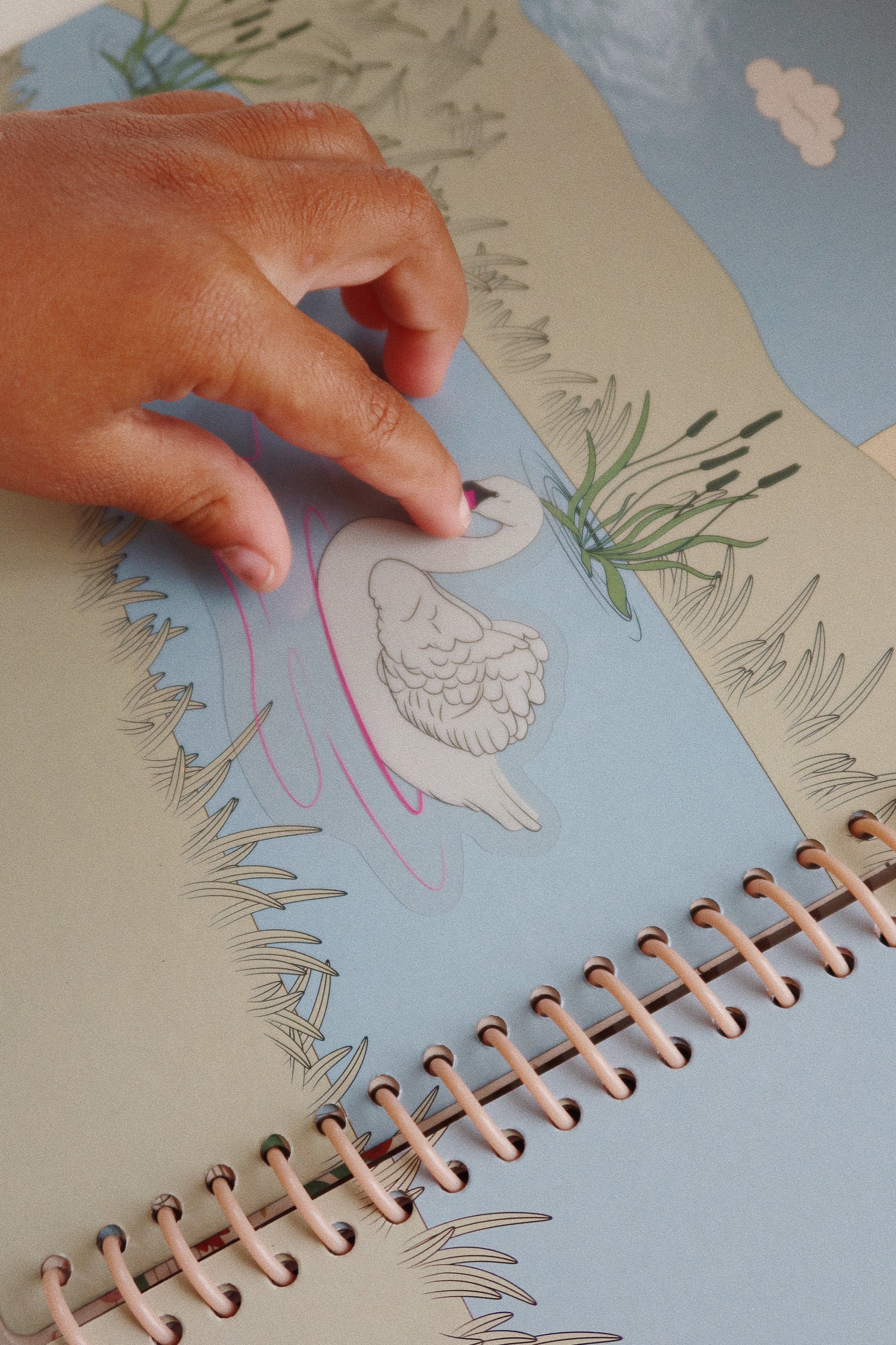 MY STICKER BOOK FSC - BLUSH – kongessloejd.com