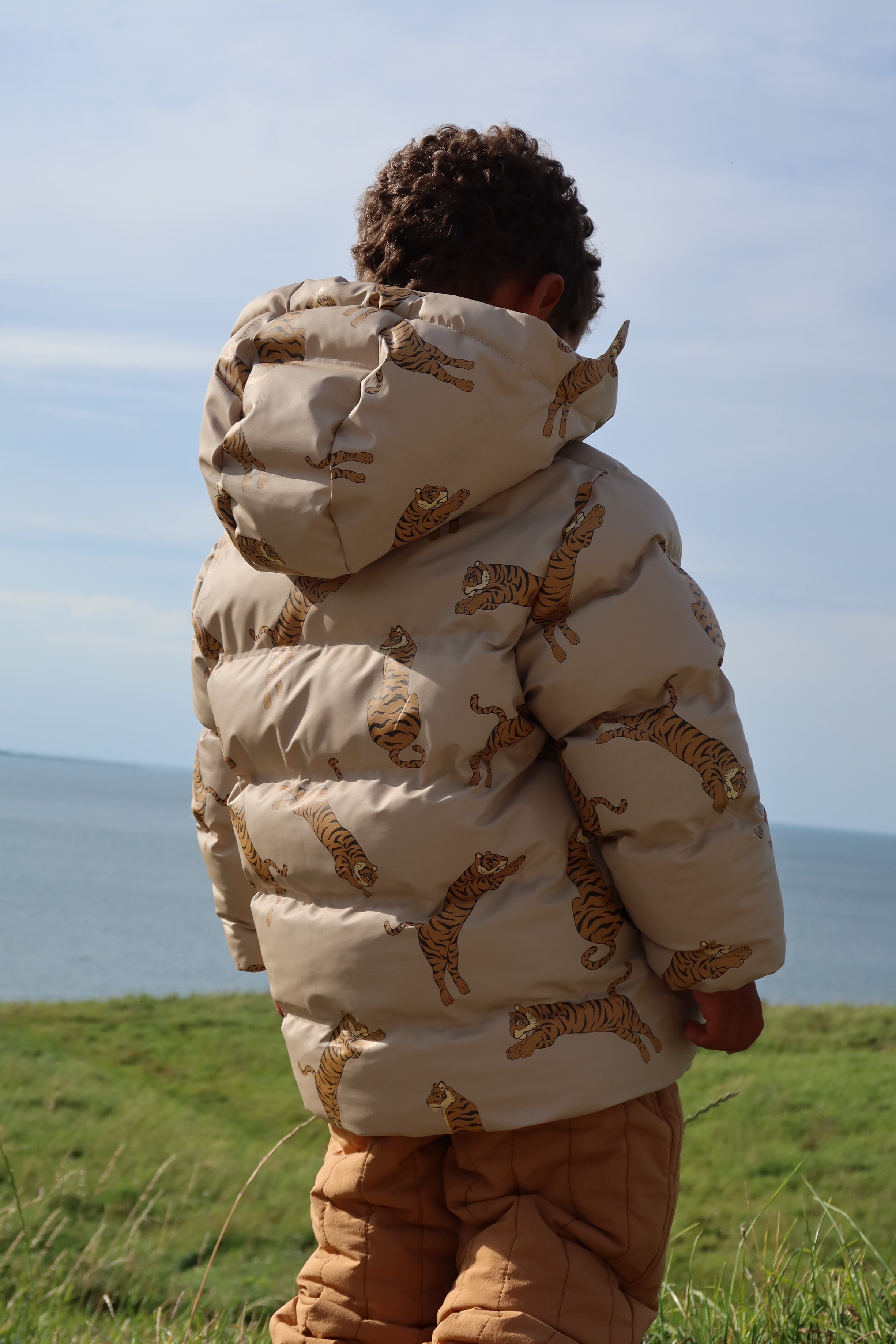 ACE RAIN JACKET - tiger – kongessloejd.com